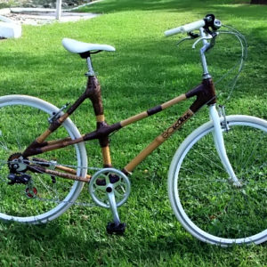 Products – Ghana Bamboo Bikes